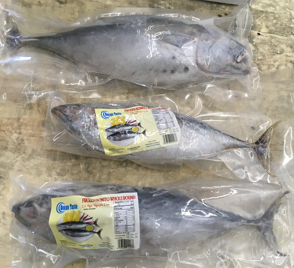 Bonito Fish WR – Southern Star