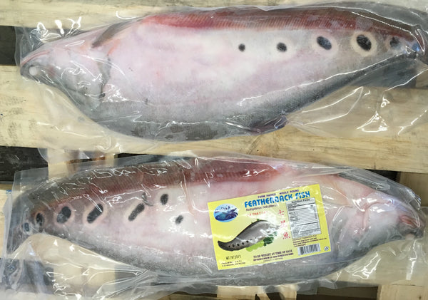 Feather Fish WR – Southern Star