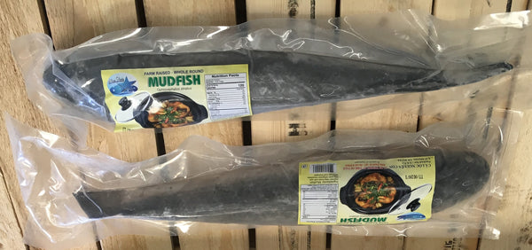 MudFish – Southern Star