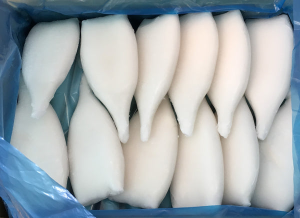 Squid U5 – Southern Star